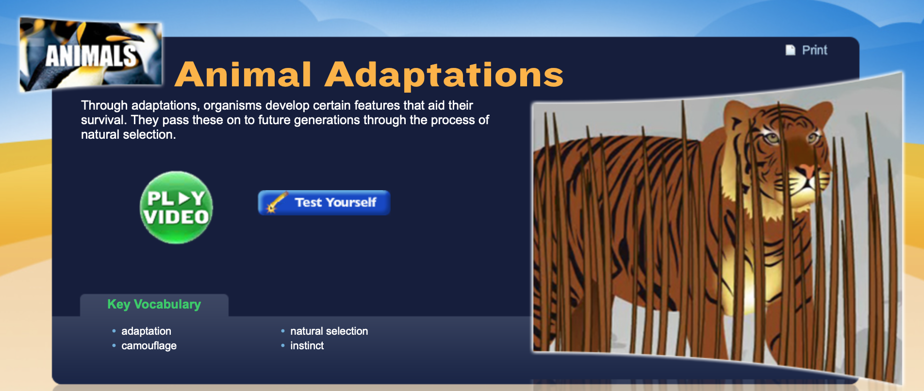 Study Jams: Animal Adaptations – Anastasis Science Genius Hub
