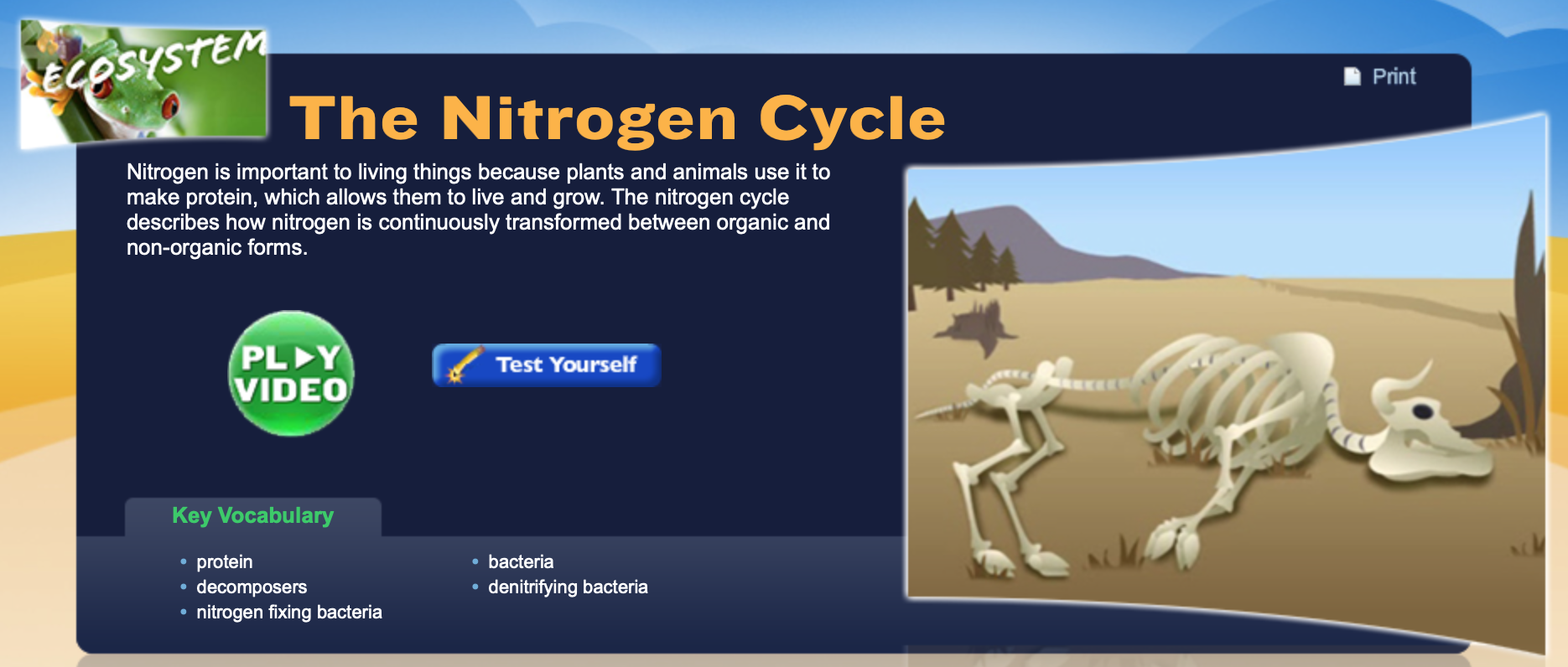 Study Jams: The Nitrogen Cycle – Anastasis Science Genius Hub