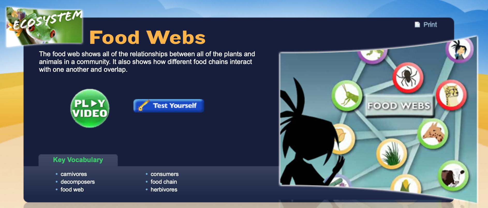 Study Jams: Food Webs – Anastasis Science Genius Hub