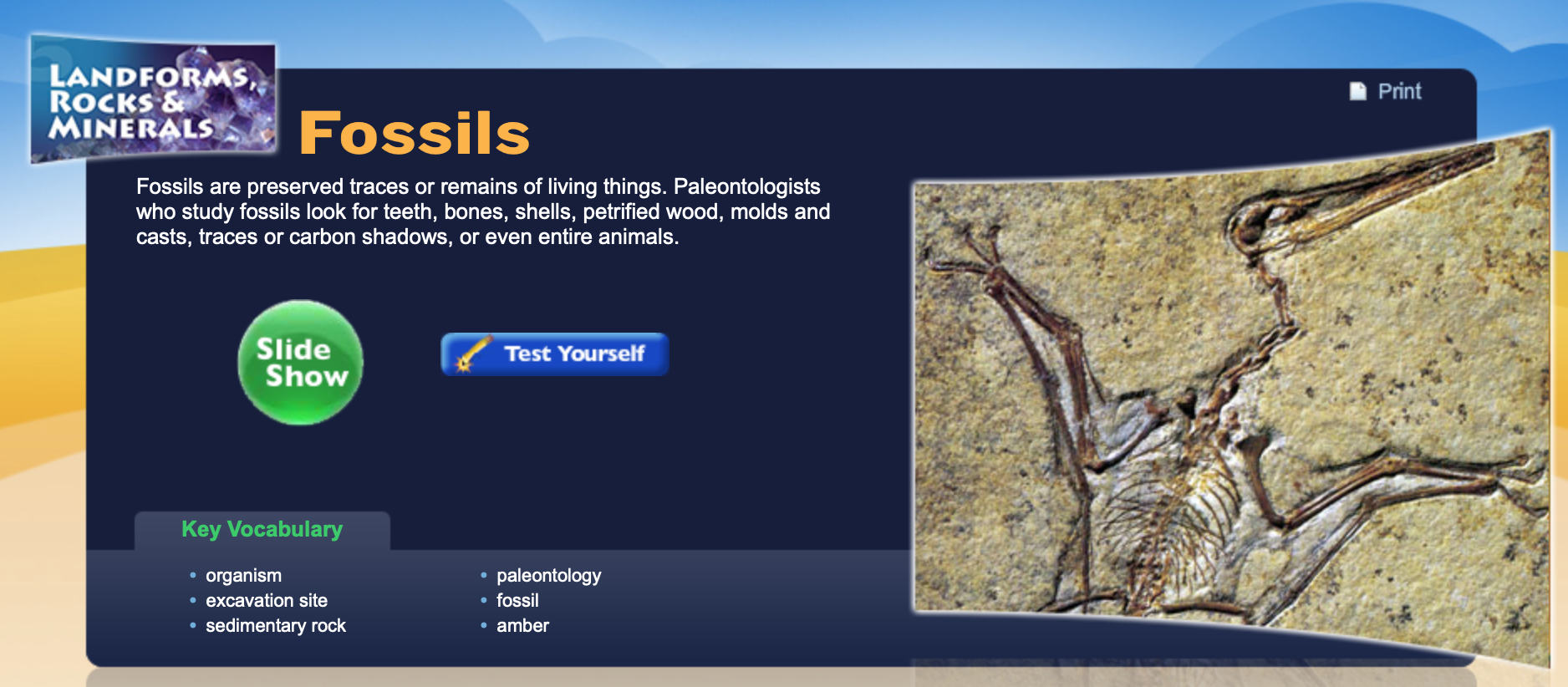 Study Jams: Fossils – Anastasis Science Genius Hub